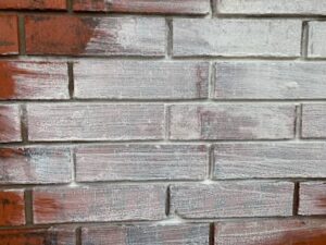 How to Limewash Brick + Mistakes to Avoid | Mama and More