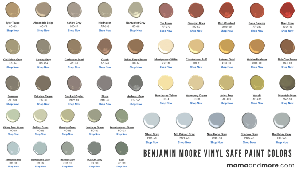 Can You Paint Vinyl Siding Darker? (The Actual Answer) | Mama and More